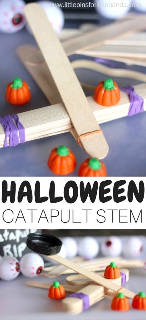 Pumpkin Math Elementary and Middle School - Stress Free Math for Kids